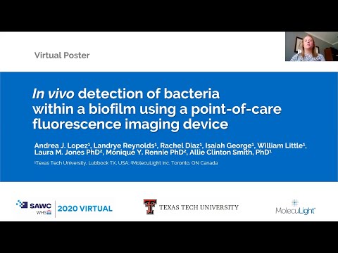 In vivo detection of bacteria within a biofilm using a point-of-care fluorescence imaging device