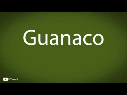 How to pronounce Guanaco