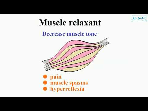 muscle relaxant (English) - Medical terminology for medical students -