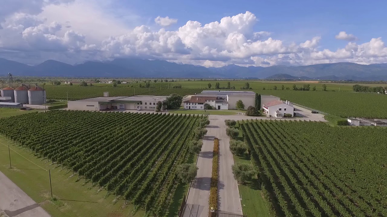 Fantinel - Overview of Fantinel Headquarter - Friuli Venezia Giulia - The Best World Prosecco