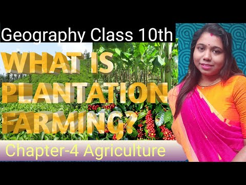 WHAT IS PLANTATION FARMING?||ENRICH GEOGRAPHY