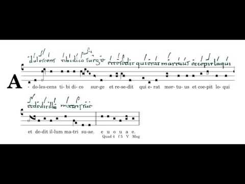 Adolescens Tibi Dico Surge, Antiphon