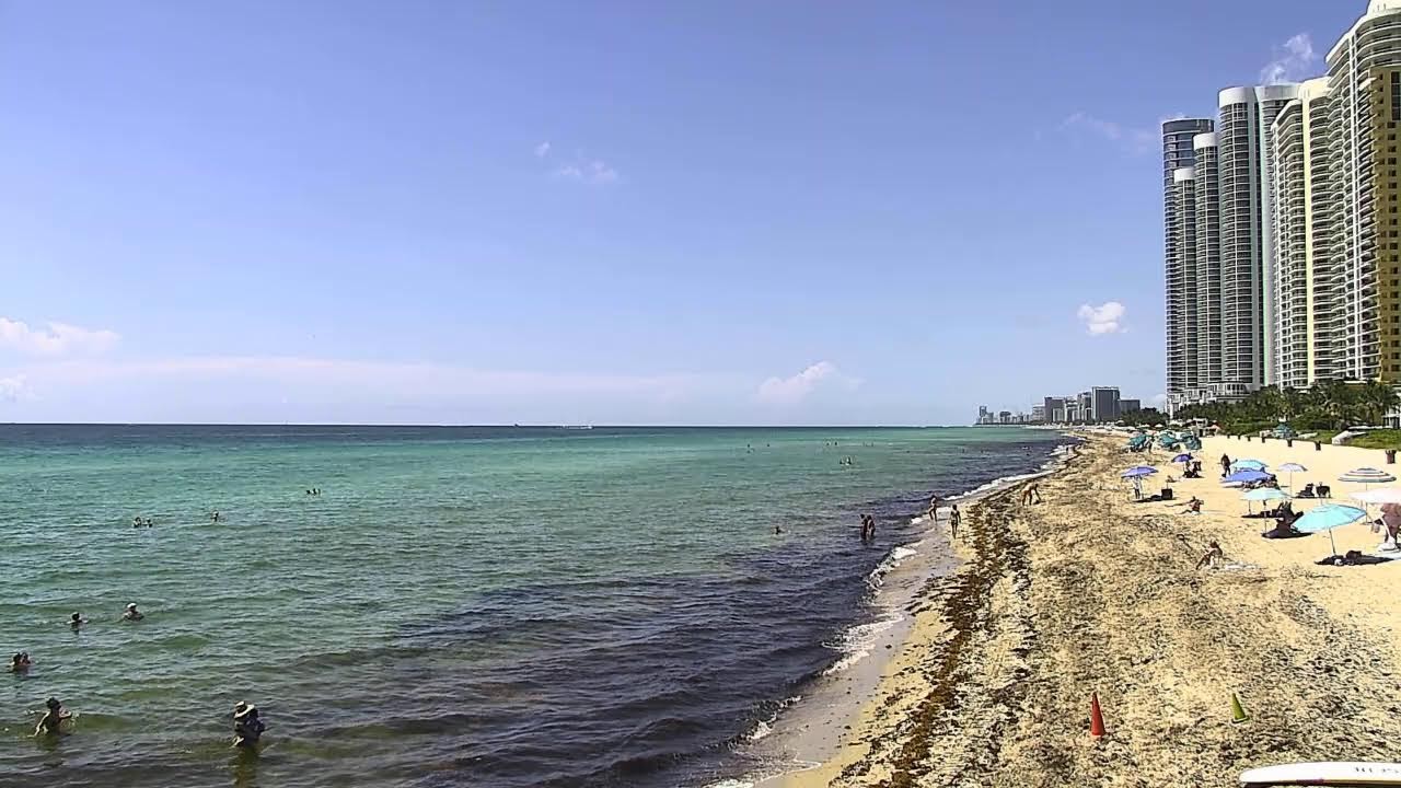 Playa y rascacielos de Newport Pier - Live Webcam | GeoWebcams