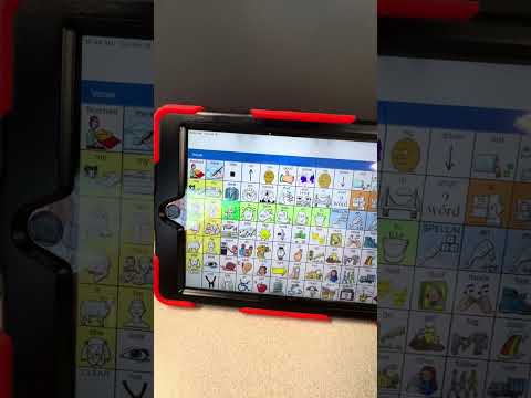 LAMP( Language Acquisition through Motor Planning)