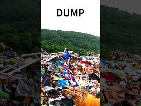 Dump Meaning | Dump Meaning in Hindi | One Minute English #youtubeshorts #shorts #viral