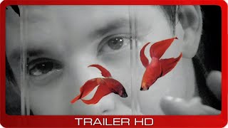 Rumble Fish streaming: where to watch movie online?