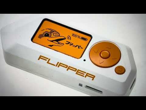 How to Hard Reset a Flipper Zero | forgot pin