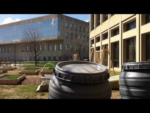 IUPUI Urban Garden