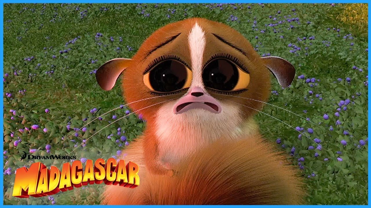 Mort Is SO Cute... 🥹 | DreamWorks Madagascar