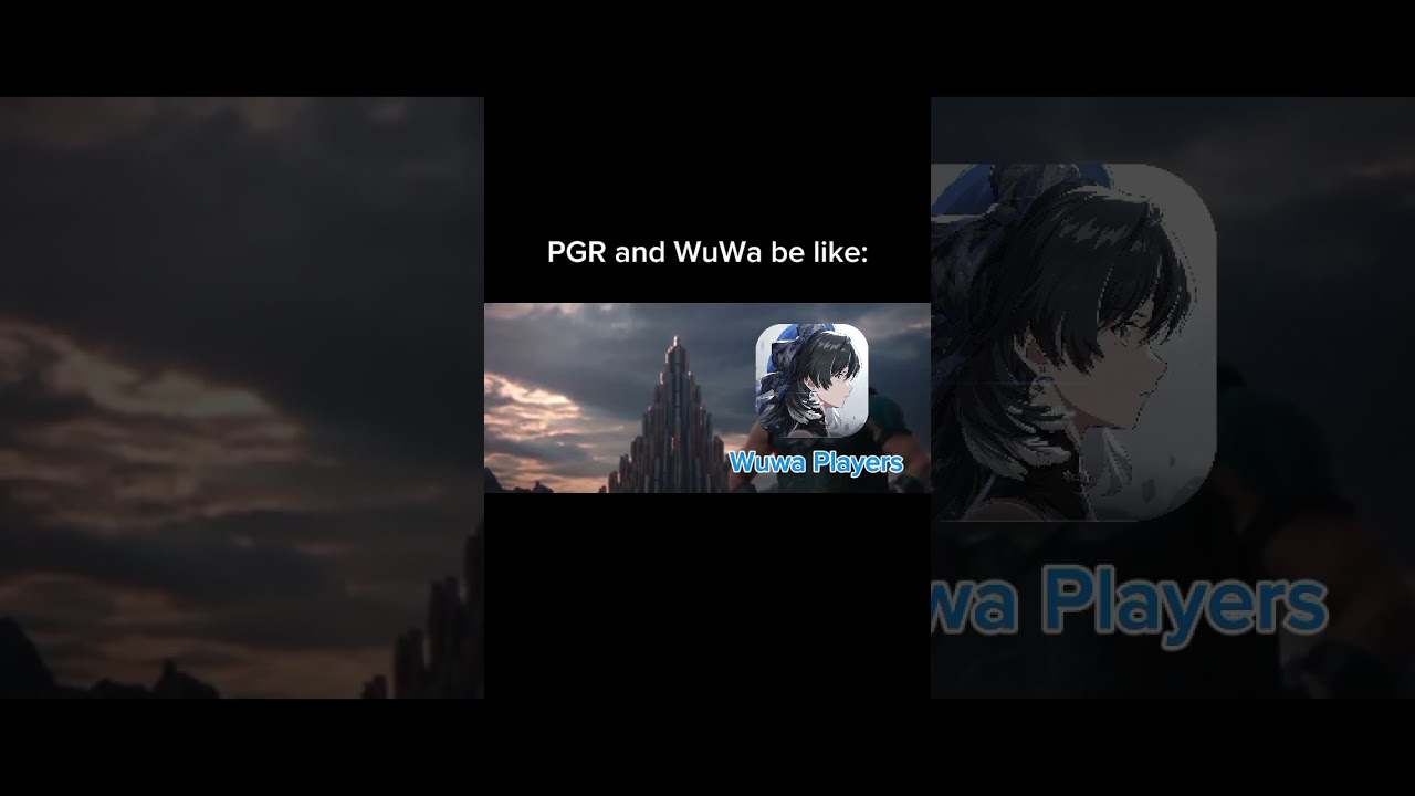 Those Danjin players are crazy #pgr #wuwa #punishinggrayraven #wutheringwaves #meme #players