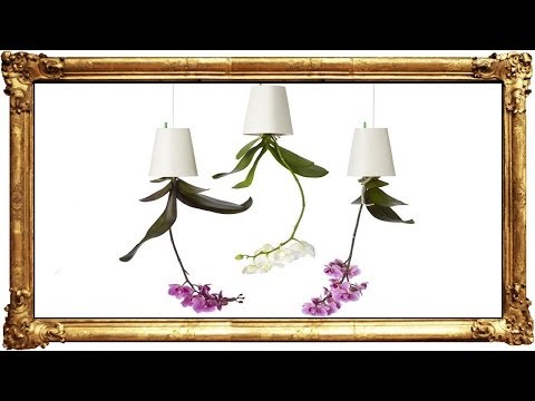plɹoM uʍoᗡ ǝpısd∩ ɹno ʇnoqɐ sʇɔɐℲ