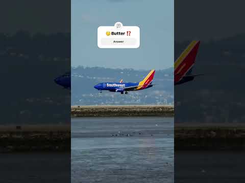 Southwest Airlines#aircraft #avgeek #airplane #flight #viral #airportlive