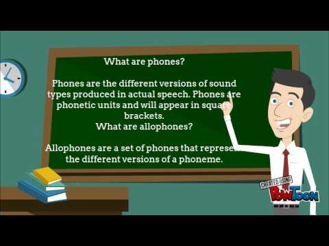 The sound pattern of language