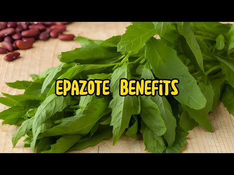Unveiling the Health Benefits of Epazote: Nature's Secret Super Herb