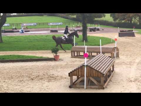 The Billy Stud Auction | 1. Billy Barn