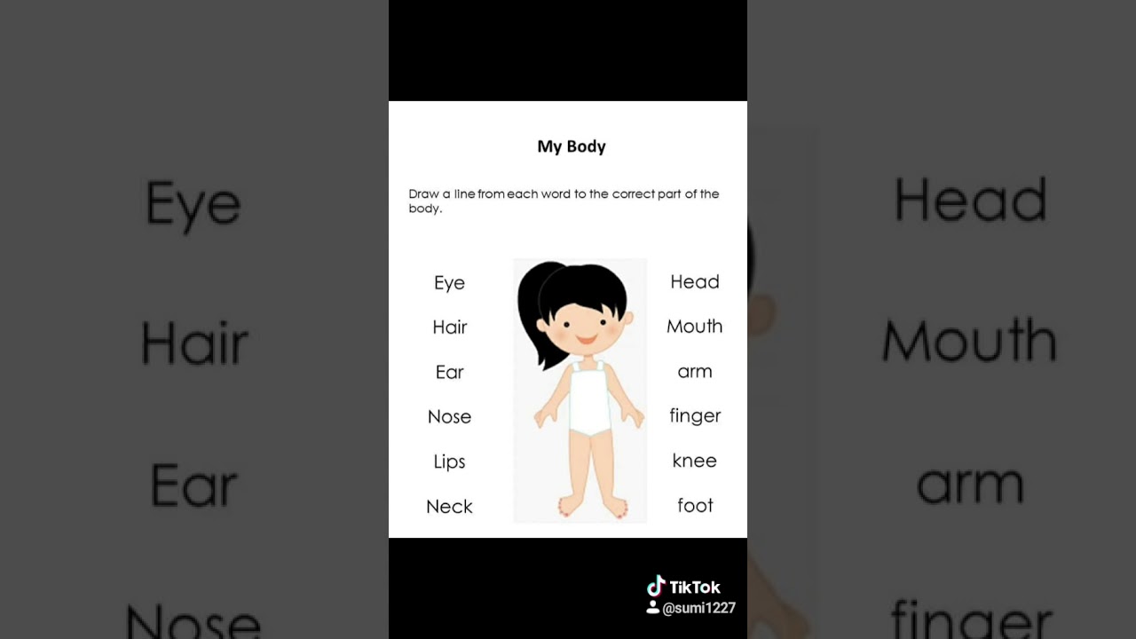 Worksheets of Body Parts for kids.