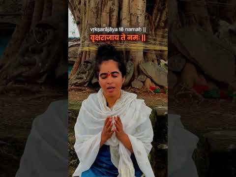 ashwatha - peepal tree - How to workshop & Benefits #peepaltree #spiritualpractice #chanting