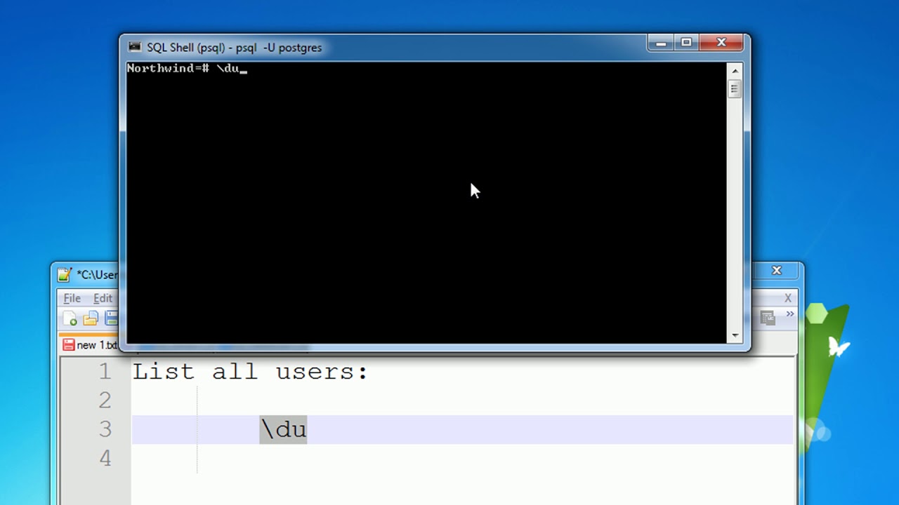 PostgreSQL - SQL Shell - List all users