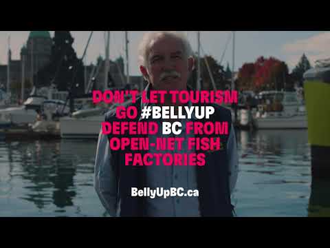 Alan, Prince of Whales Whale Watching | #BELLYUP