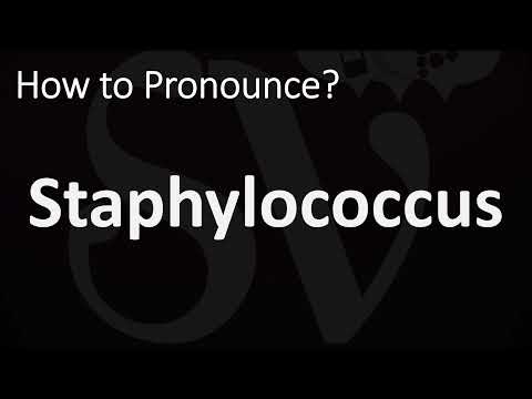 How to Pronounce Staphylococcus? (CORRECTLY)