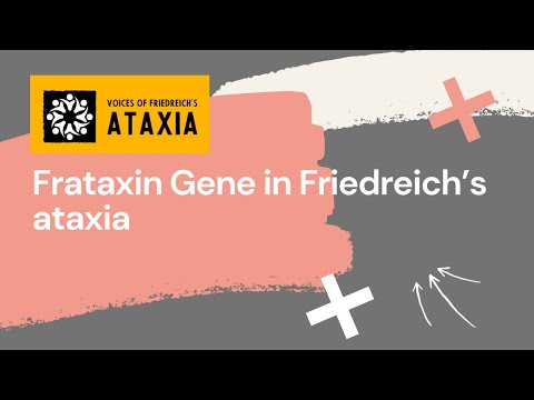 Frataxin Gene in Friedreich’s ataxia
