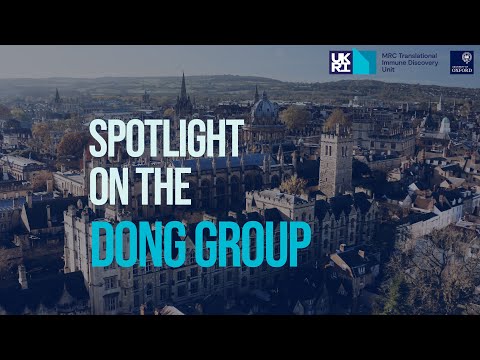 'Spotlight On' The Dong Group