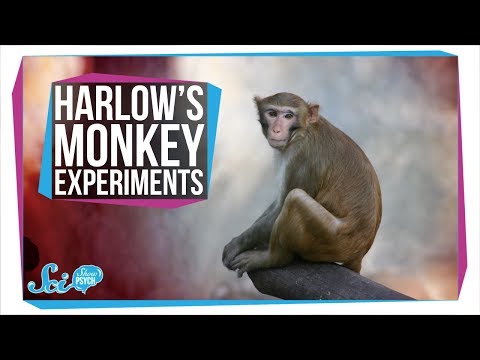 Harlow's Horrifying Monkey Experiments