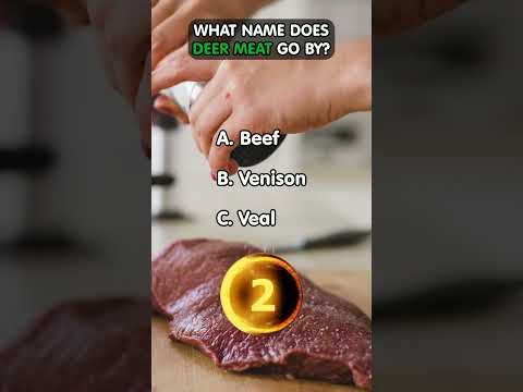 The General Knowledge Quiz Ever? | Trivia Quiz Game