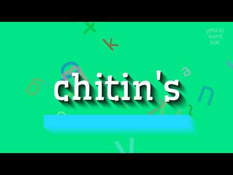 How to say "chitin's"! (High Quality Voices)