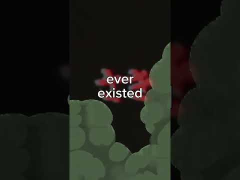 Lost Deep Web Anime