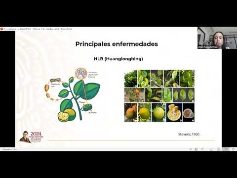 Seminario:Efecto de la coinfección de Lasiodiplodia sp. y Pestalotiopsis sp. en especies de cítricos