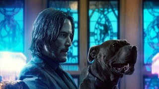 John Wick: Capítulo 3 - Parabellum online