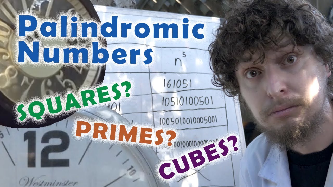 The Perplexing Patterns of Palindromic Numbers