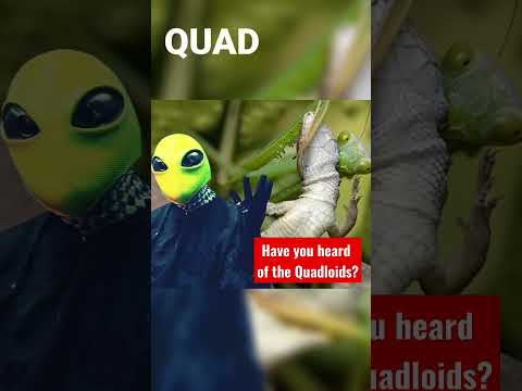Have you ever heard of the Quadloids? #quadloids #eben #ebens #et #alien #extraterrestrial #ufo #uap