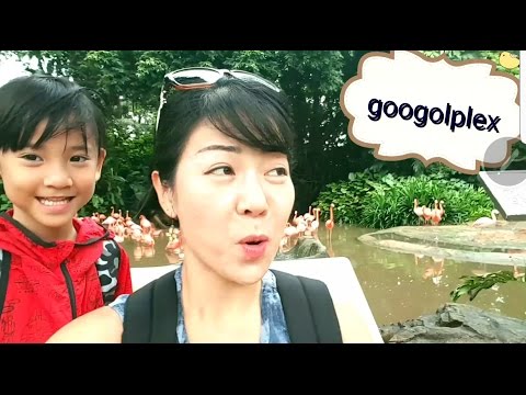 Googolplex - What Kids know