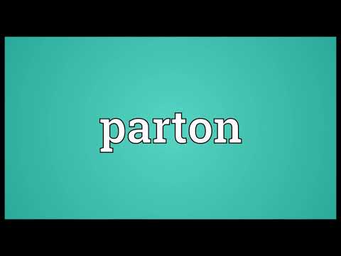 Parton Meaning