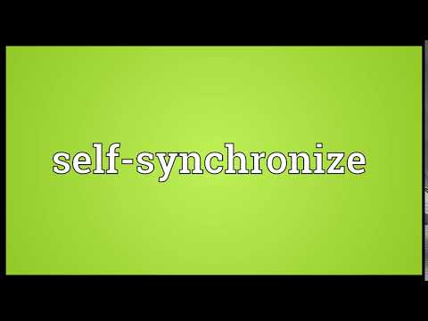 Self synchronize Meaning | Wordogram