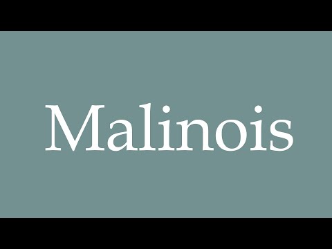 How to Pronounce ''Malinois'' Correctly in French