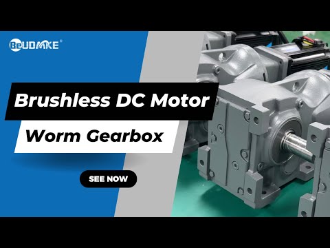 DC Motor Replaces AC Motor | Brushless BLDC + Worm Gearbox Solution