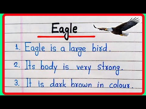 Eagle Essay In English 10 Lines | Short Essay On Eagle | 10 Lines On Eagle In English