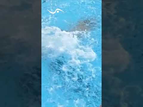 Swim Faster! Master the Open Turn Like a Pro (Slow-Mo)