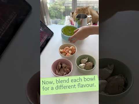 Delicious Homemade Cat Food with Chicken Liver, Heart, Shrimp, and Breast๐พ