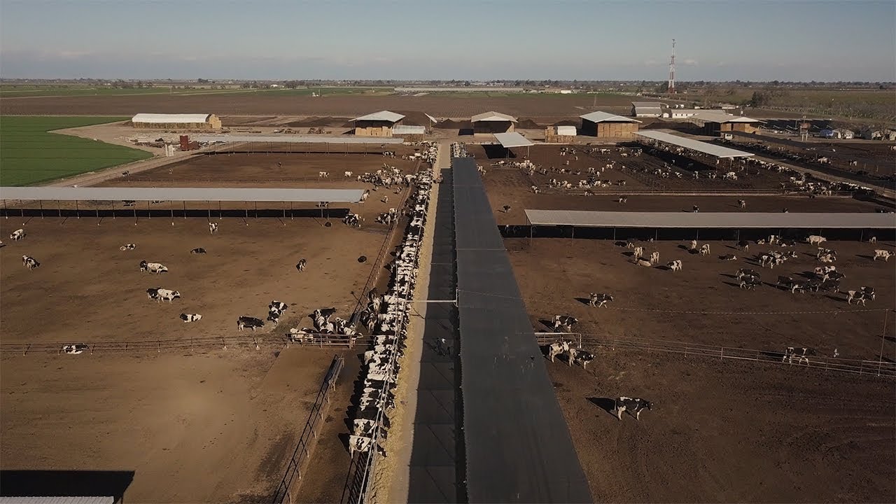 Data is Power: AgriTech Analytics