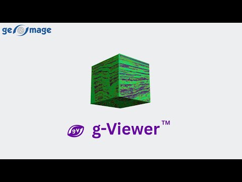 Geomage g-Viewer™ : Seg-Y viewer