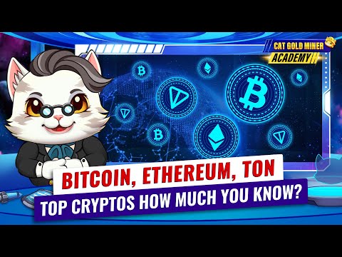 Bitcoin, Ethereum, TON Explained⚡️CAT GOLD MINER ACADEMY