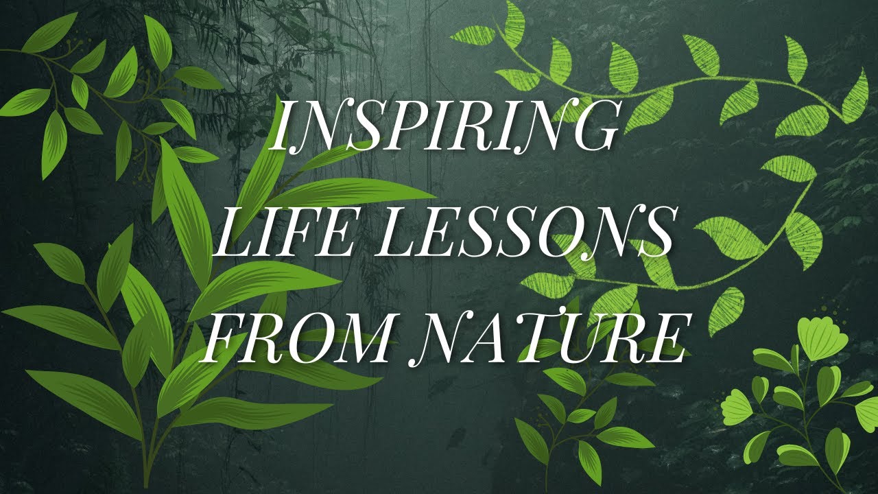 TOP 10 LIFE LESSONS FROM NATURE - Inspiring Life Lessons from the Natural World.