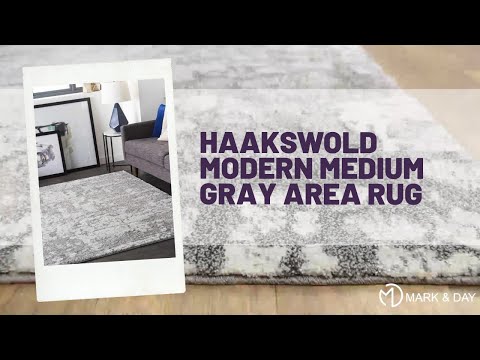 Haakswold Modern Medium Gray Area Rug