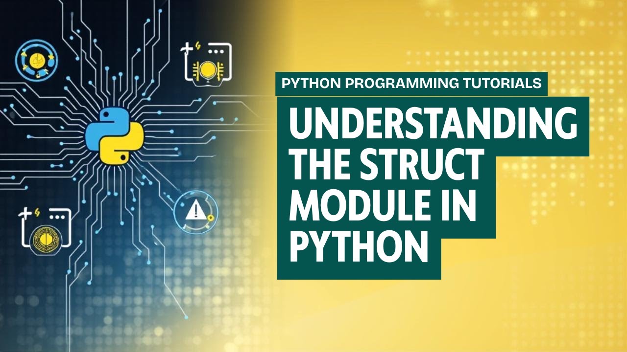What is the struct Module in Python