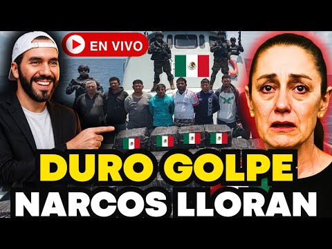 NARCOS LLORAN AL VER COMO BUKELE LOS CASTIGA INCAUTANDO MILLONES DE DOLARES EN EL SALVADOR