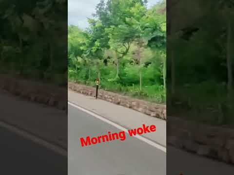 Morning woke